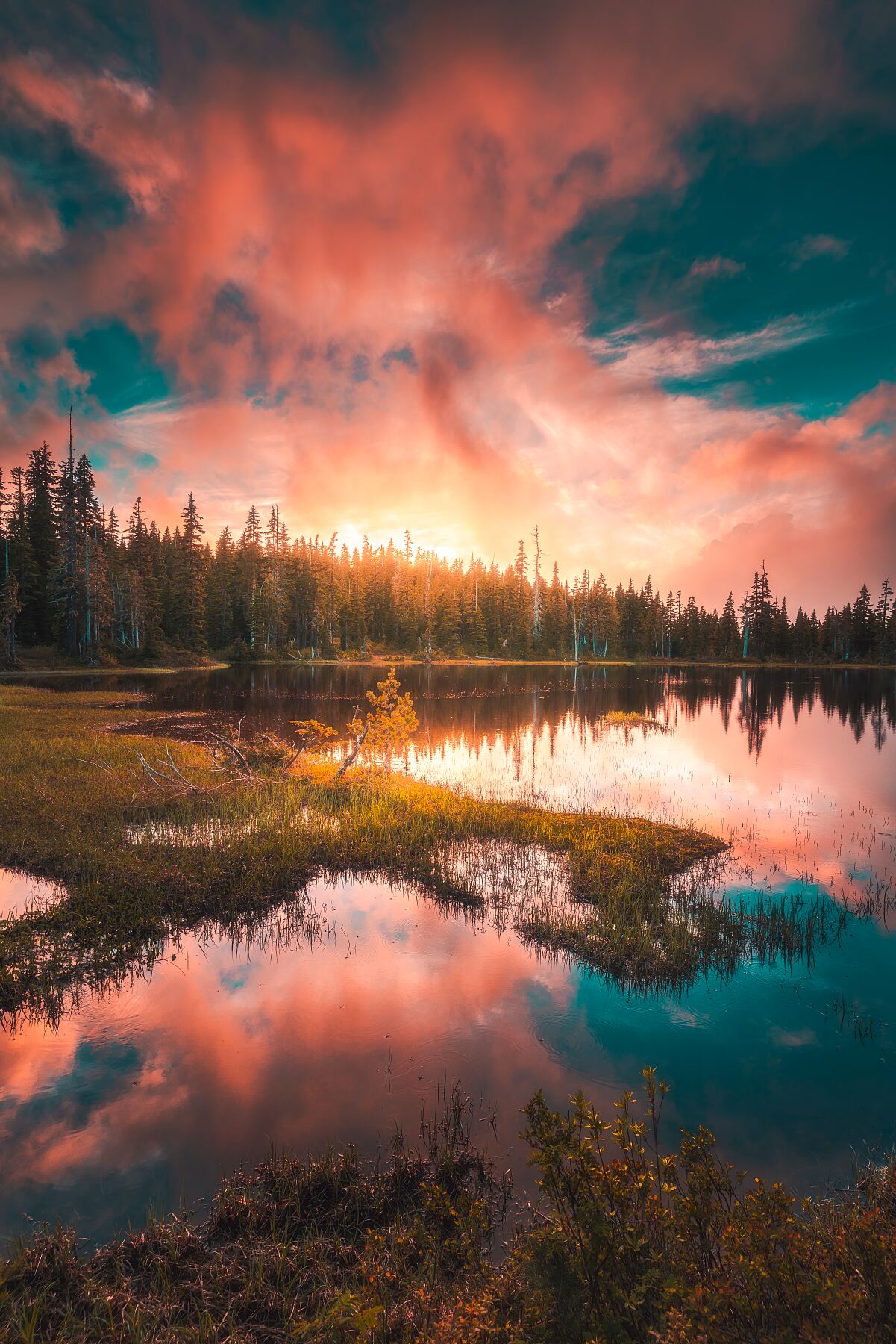 Dreams of Colour – Zach Doehler - Professional Landscape & Freelance ...