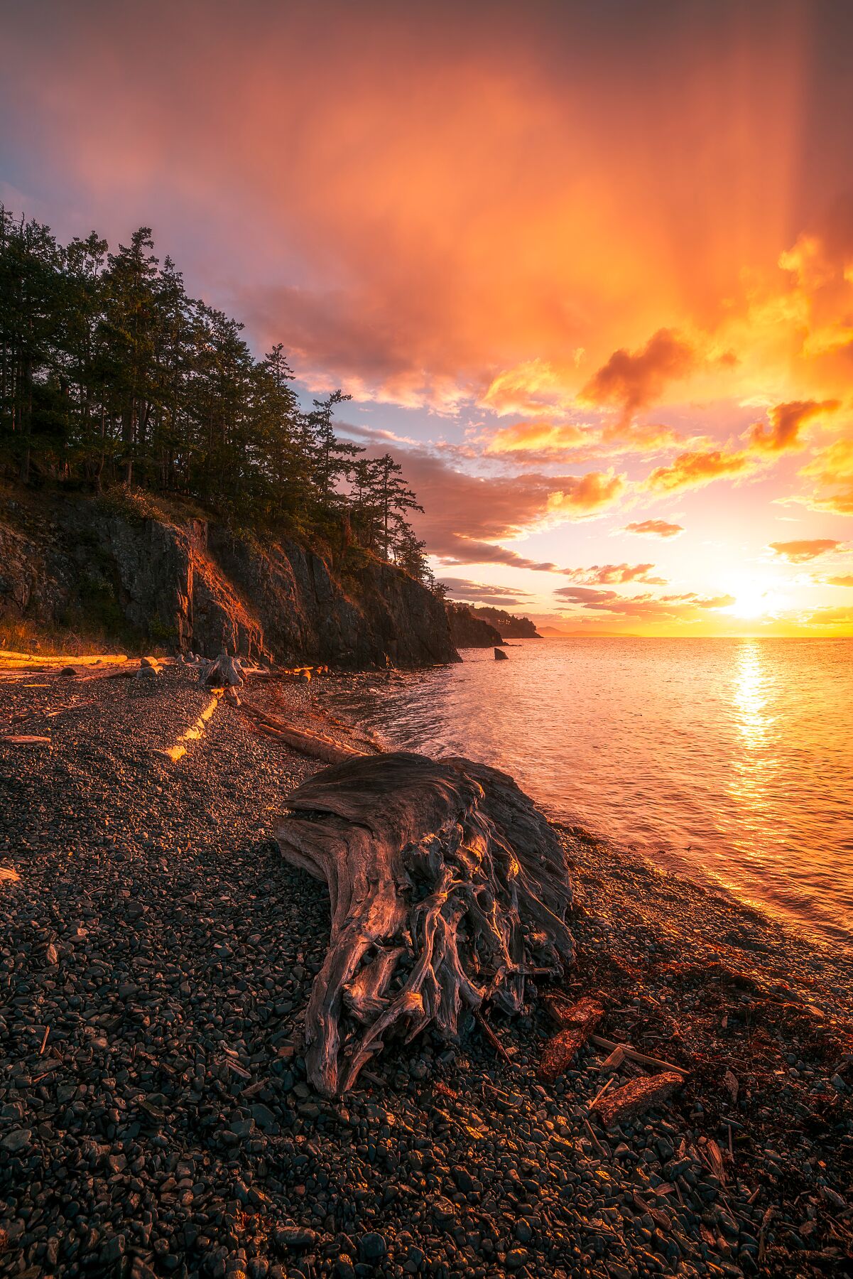 The Opening – Zach Doehler - Professional Landscape & Freelance ...